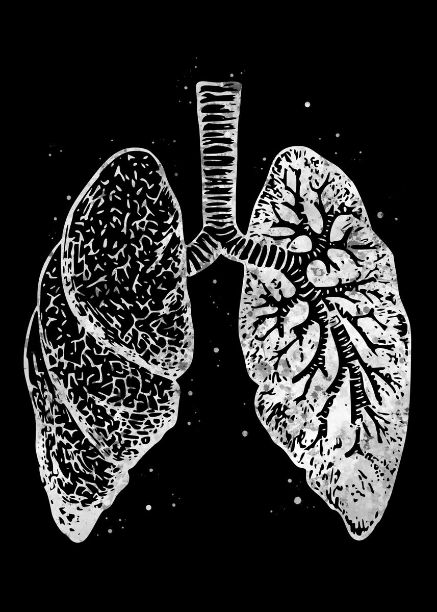 'Lung Anatomy' Poster, picture, metal print, paint by Yahya Art | Displate