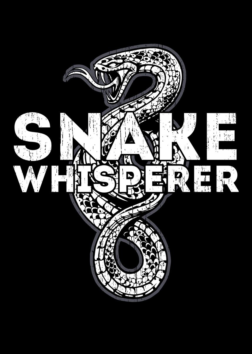 'Snake Whisperer' Poster by NAO | Displate