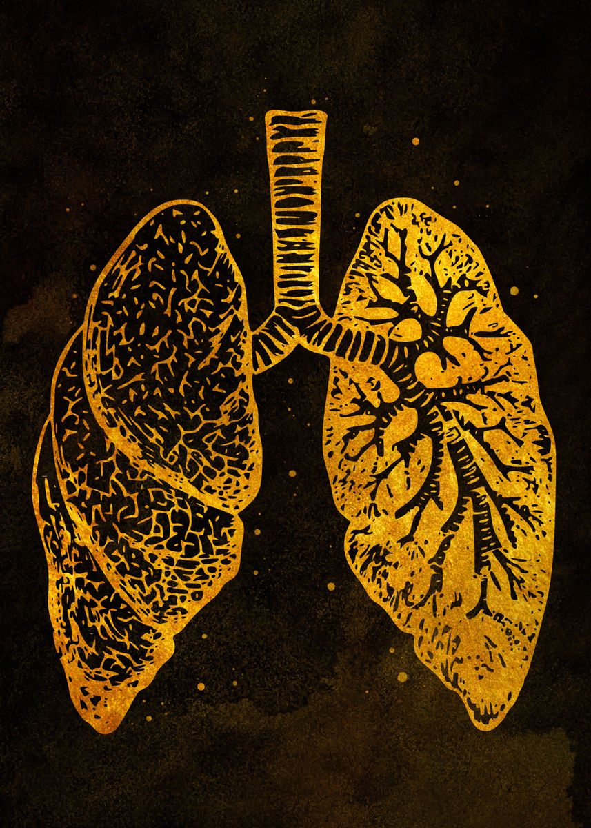 'Lung Anatomy Gold' Poster, picture, metal print, paint by Yahya Art ...