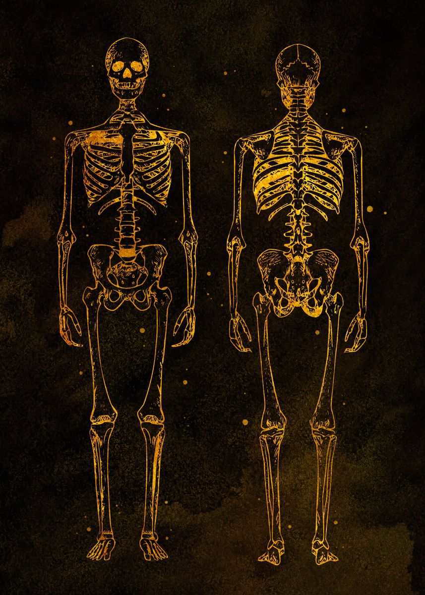 'Human Skeleton Gold' Poster, picture, metal print, paint by Yahya Art ...