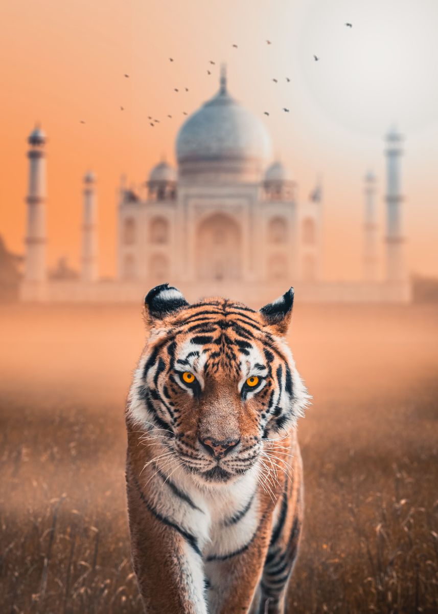 'King of the Jungle' Poster, picture, metal print, paint by Charlie ...