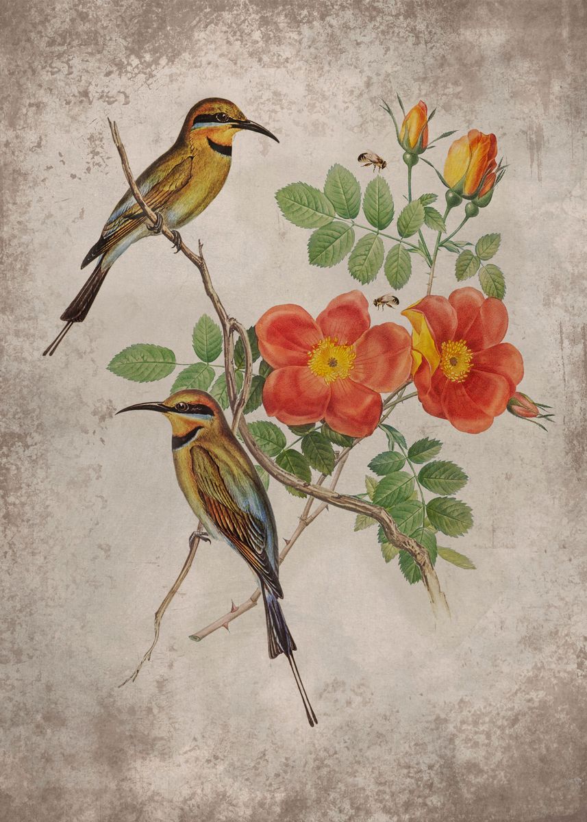 'Bee eater Bees and Rose' Poster, picture, metal print, paint by ...