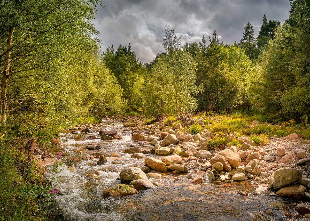 'The Power of a River' Poster by Svetlana Sewell | Displate