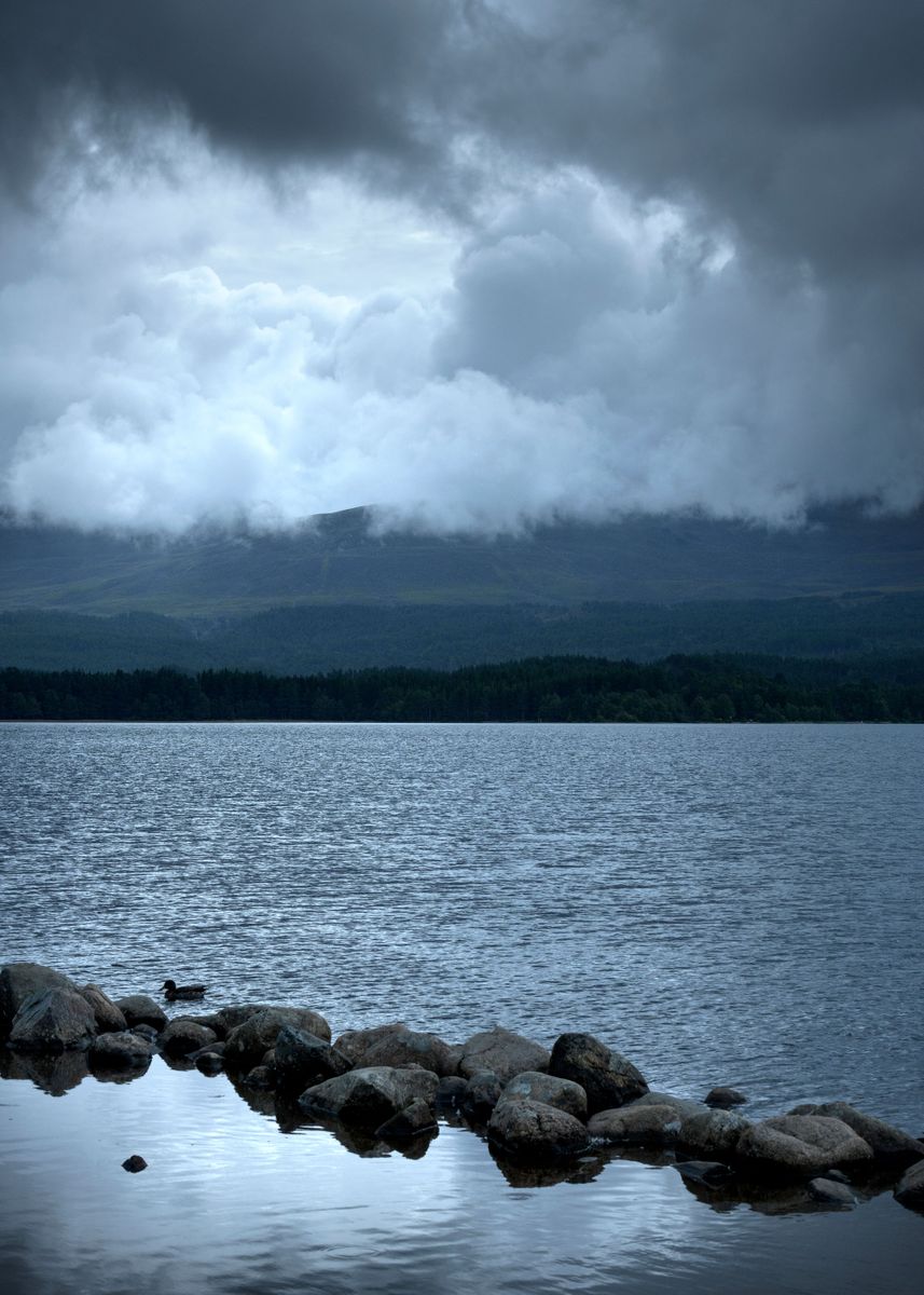 'Morning Lake' Poster by Svetlana Sewell | Displate