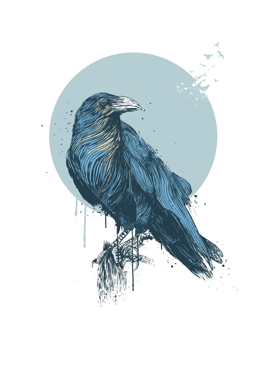 'Blue crow' Poster, picture, metal print, paint by Balazs Solti | Displate