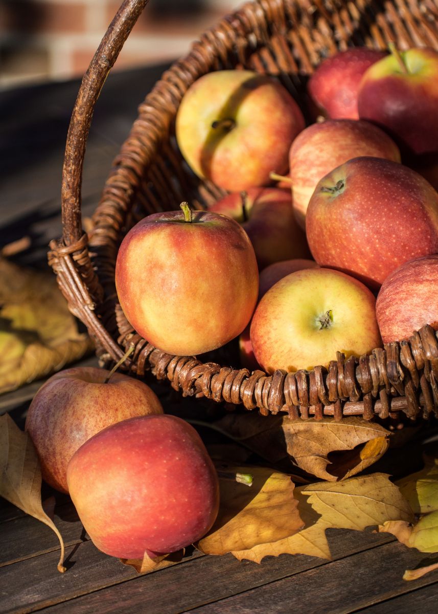 'apple picking' Poster, picture, metal print, paint by Volker Pape ...