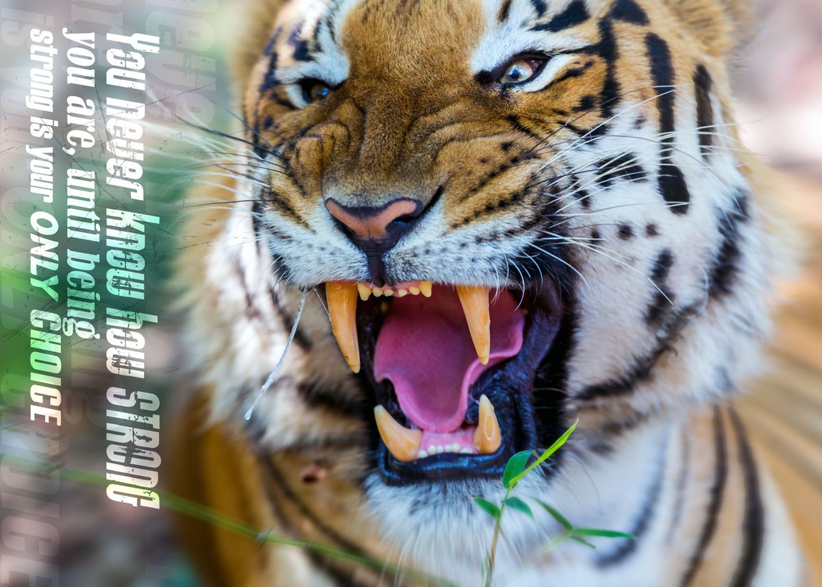'Tiger strength' Poster by Mad Crabs Creations | Displate