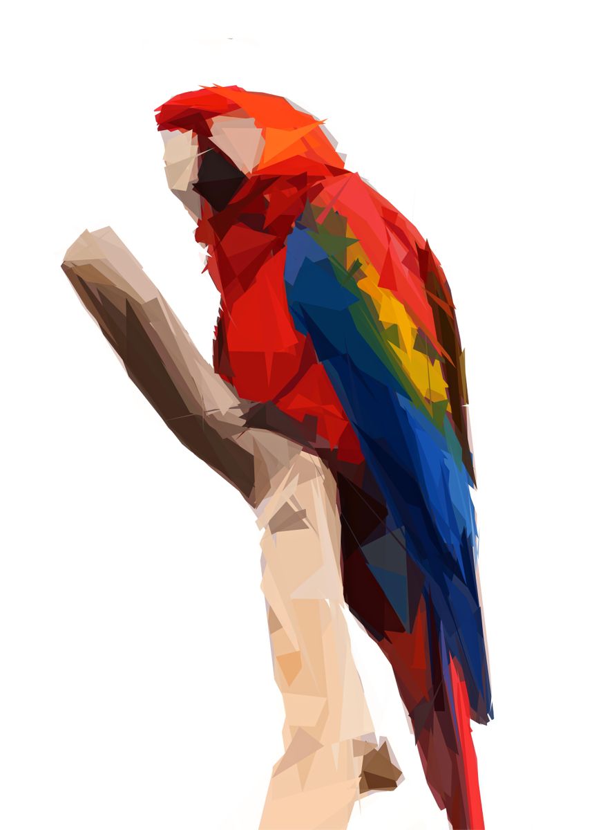 'Geometric Tropical Macaw' Poster by Simon Clement | Displate