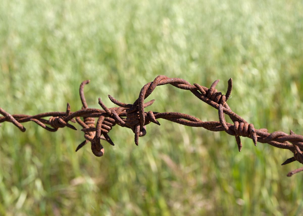 'Barbed Wire' Poster by insideportugal | Displate