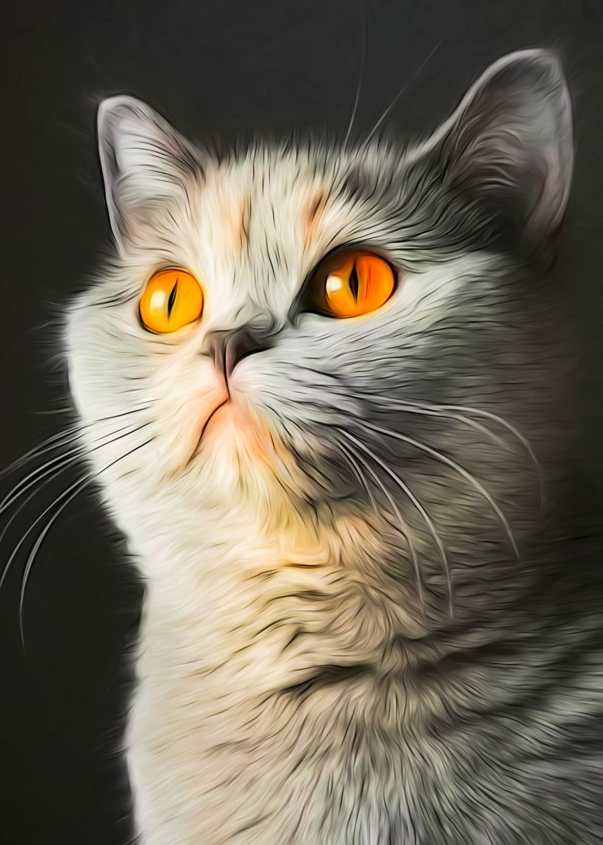 'Silver Tipped Shorthair' Poster, picture, metal print, paint by ...