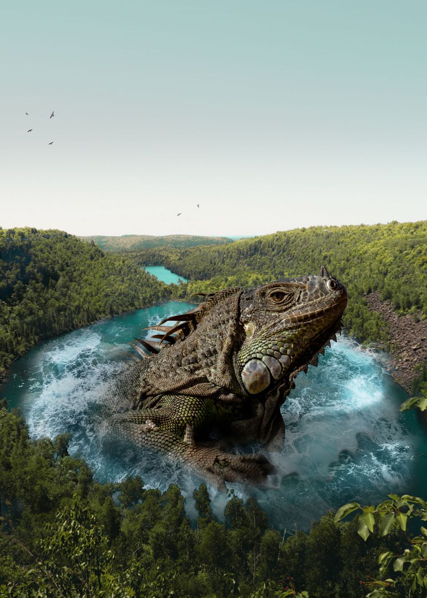 'Iguana peacful life' Poster, picture, metal print, paint by Shamoon ...