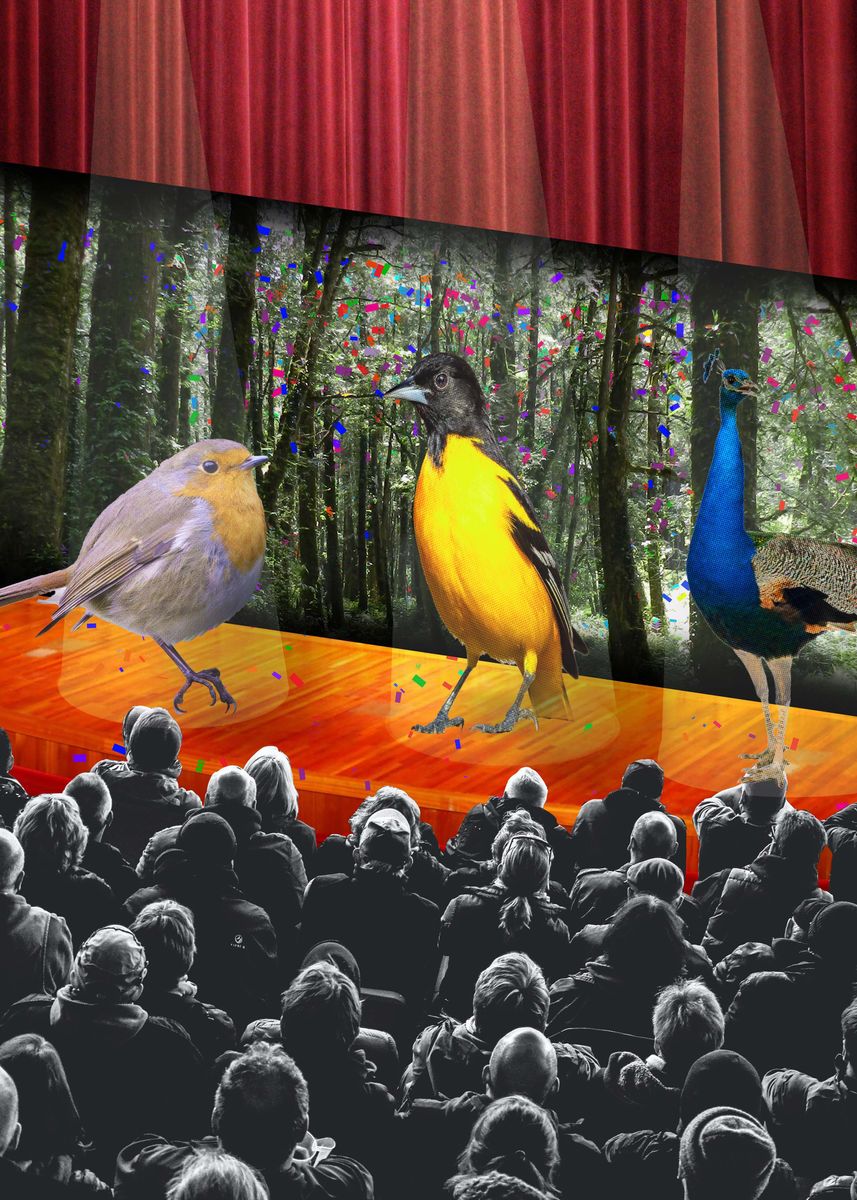 'Bird Watching Collage Art' Poster by Michael | Displate