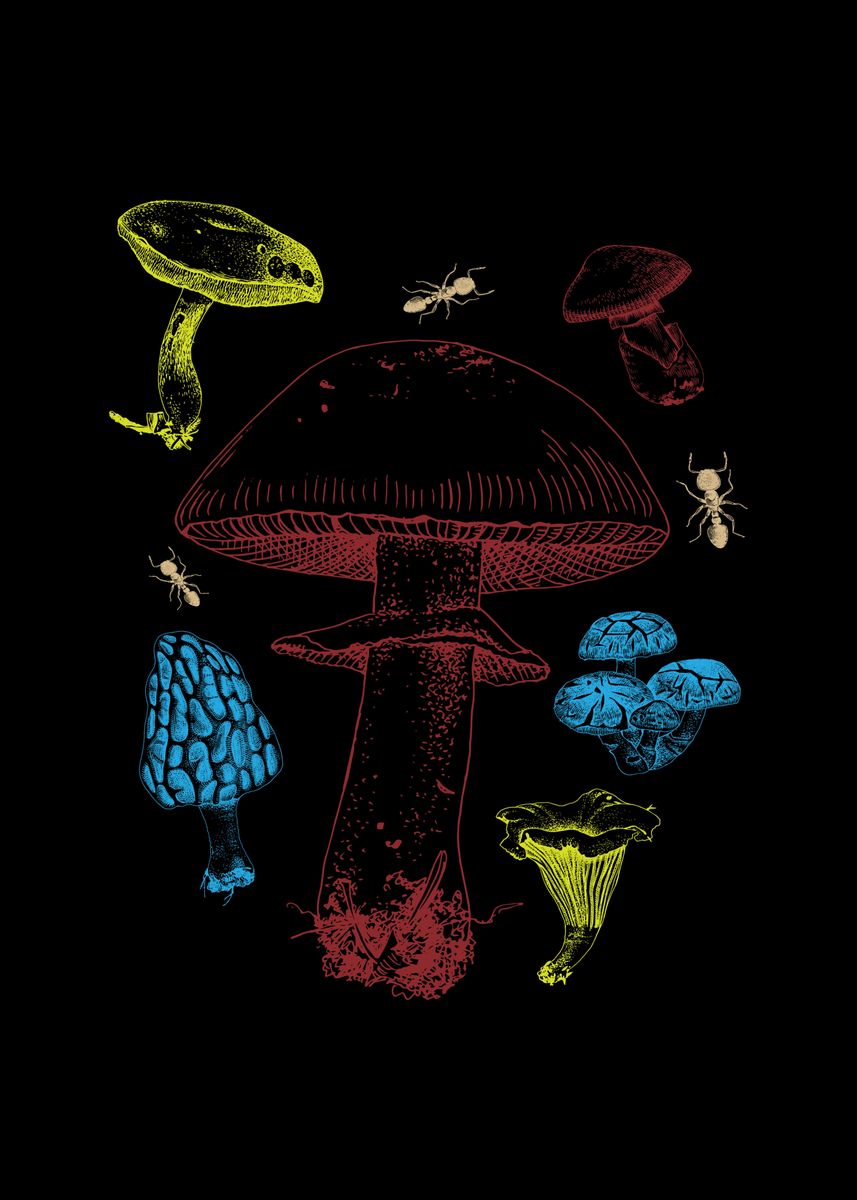 'Types Of Mushrooms' Poster by Mooon | Displate