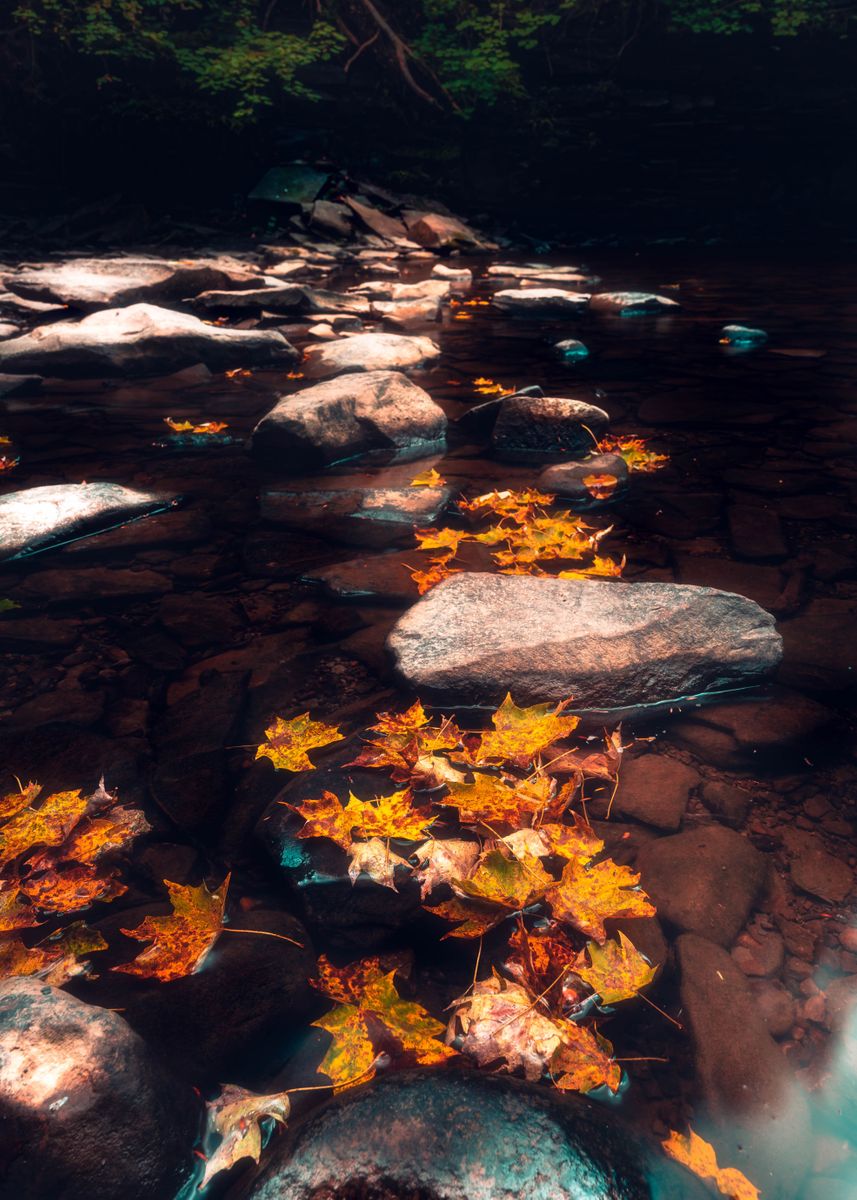 'The Beginning Of Autumn' Poster by James DellaRocco | Displate