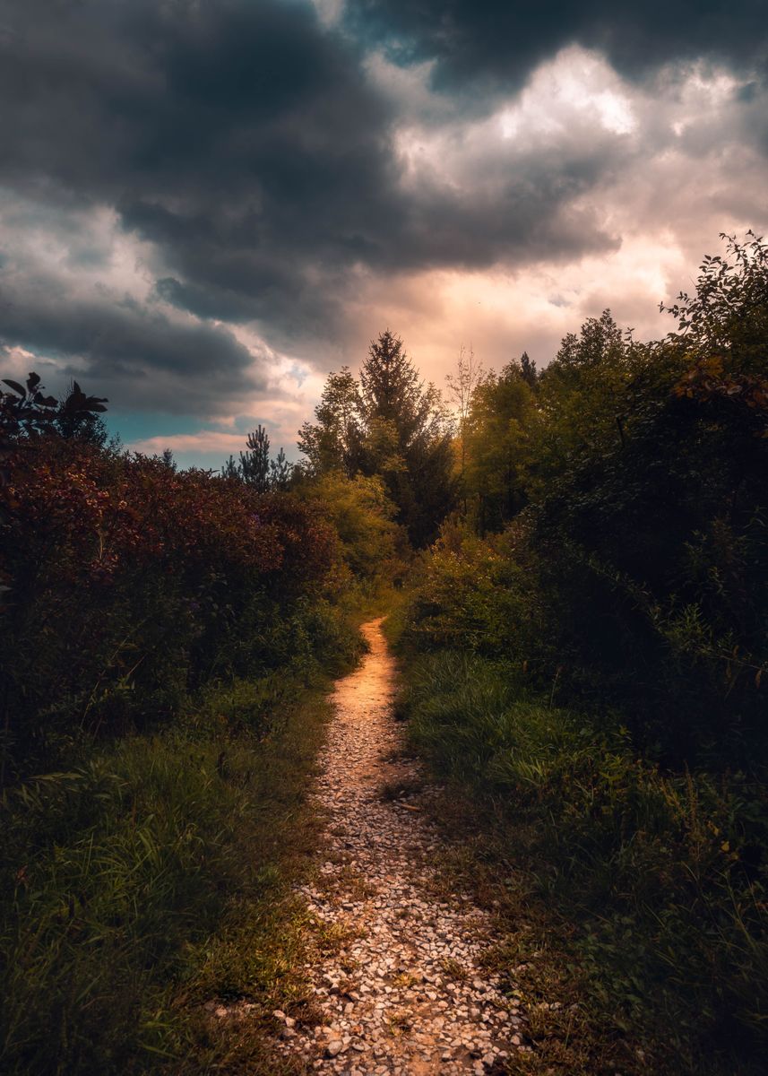 'The Trailhead' Poster, picture, metal print, paint by James DellaRocco ...