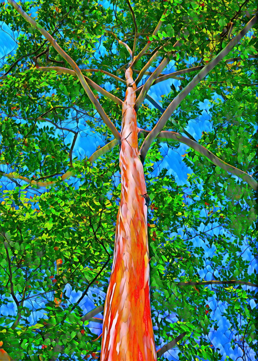 'Forever Tree Tripping' Poster, picture, metal print, paint by Joseph ...