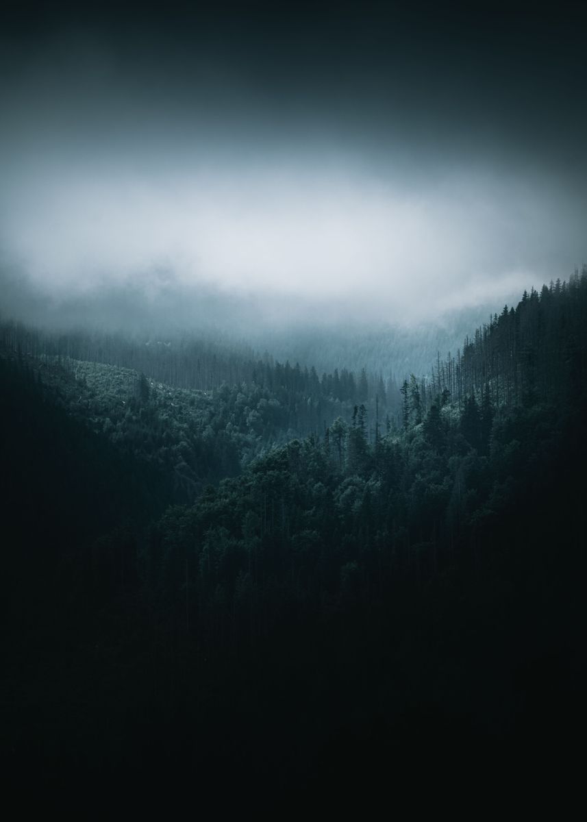 'Ravine' Poster, picture, metal print, paint by Adam Stolarczyk | Displate