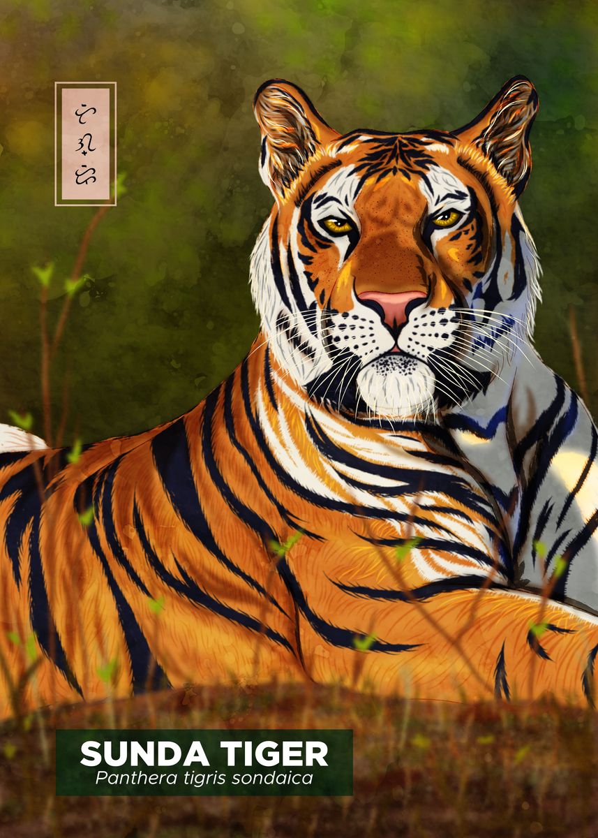 'Sunda Tiger' Poster, picture, metal print, paint by Thor Reyes | Displate