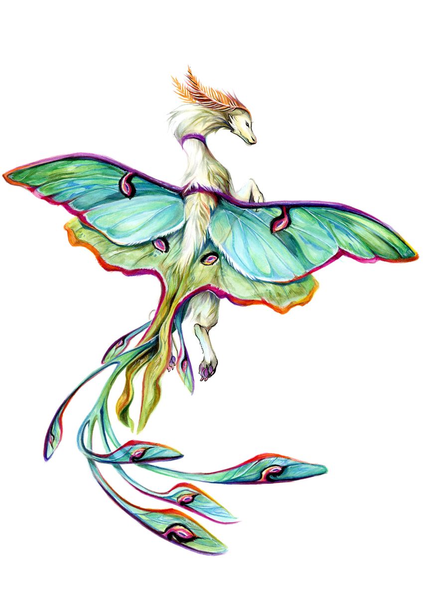 'Luna Moth Dragon' Poster, picture, metal print, paint by Katy Lipscomb ...