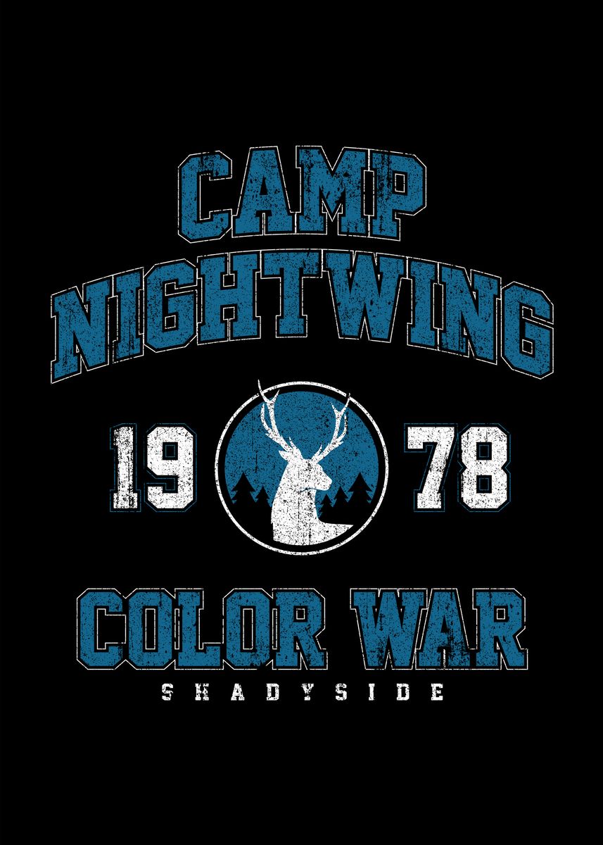 'Camp Nightwing Color War' Poster, picture, metal print, paint by ...