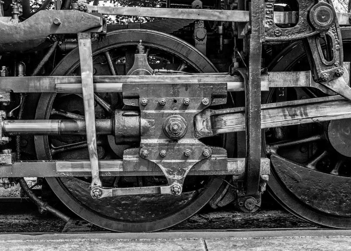 'Alligator Crosshead' Poster by Enzwell | Displate