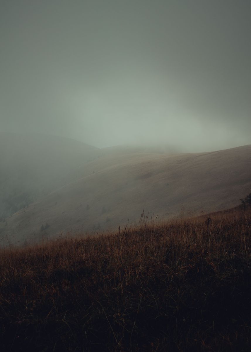 'Through the mist' Poster, picture, metal print, paint by 19thpic ...