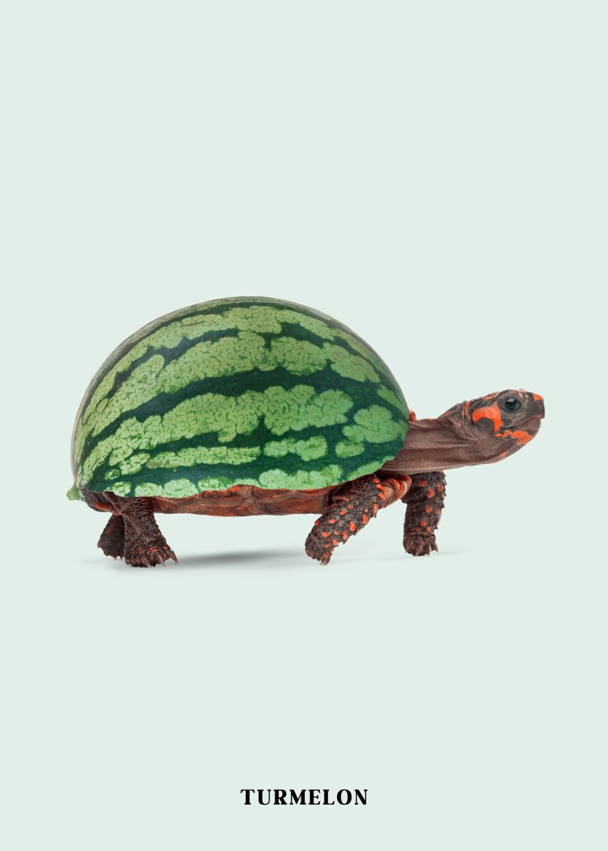 'Turmelon' Poster, picture, metal print, paint by Jonas Loose | Displate