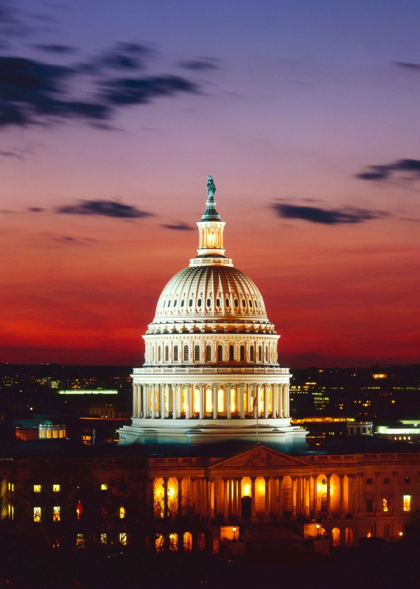 'Capitol Hill Portrait ' Poster, picture, metal print, paint by Stephen ...