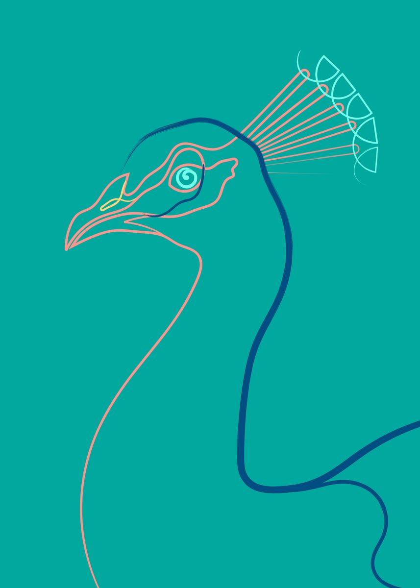 'Coloured Line Peacock' Poster, picture, metal print, paint by Adam ...