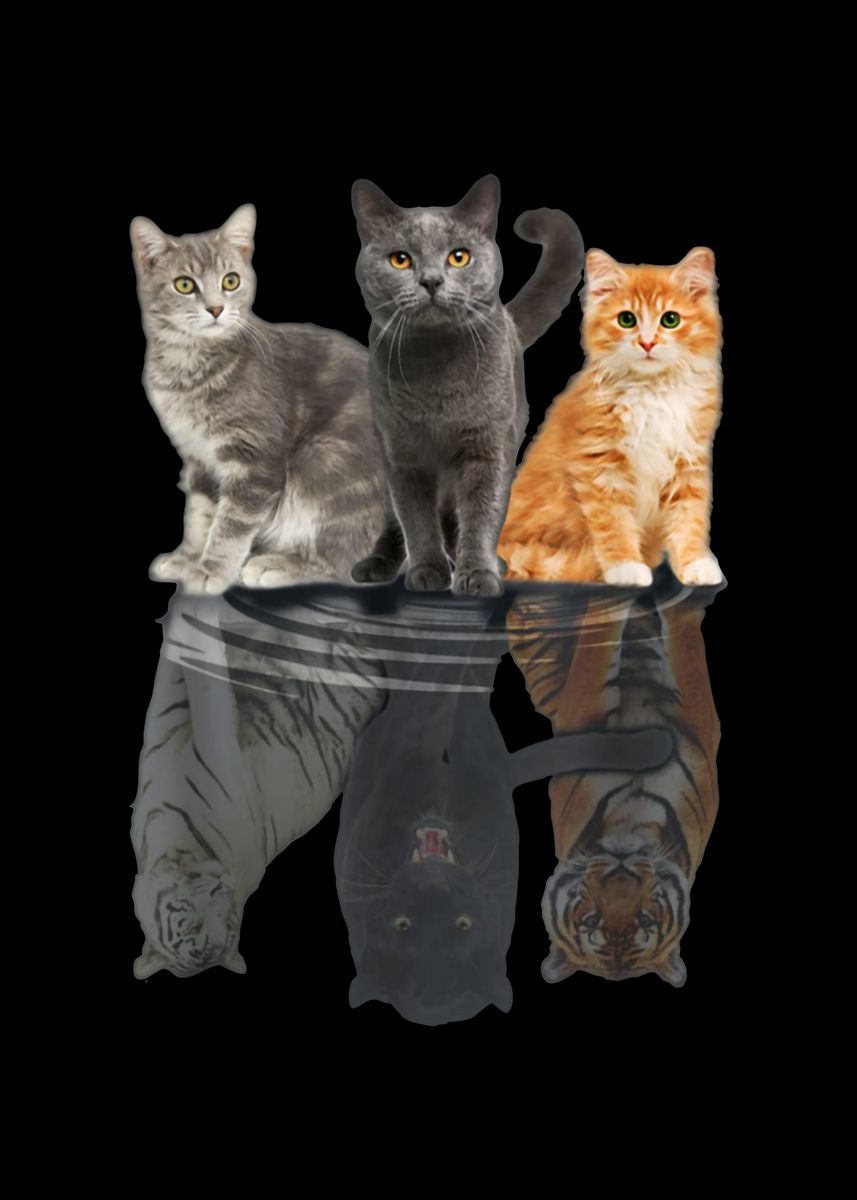 'Cats Reflection Mirror' Poster, picture, metal print, paint by retno ...