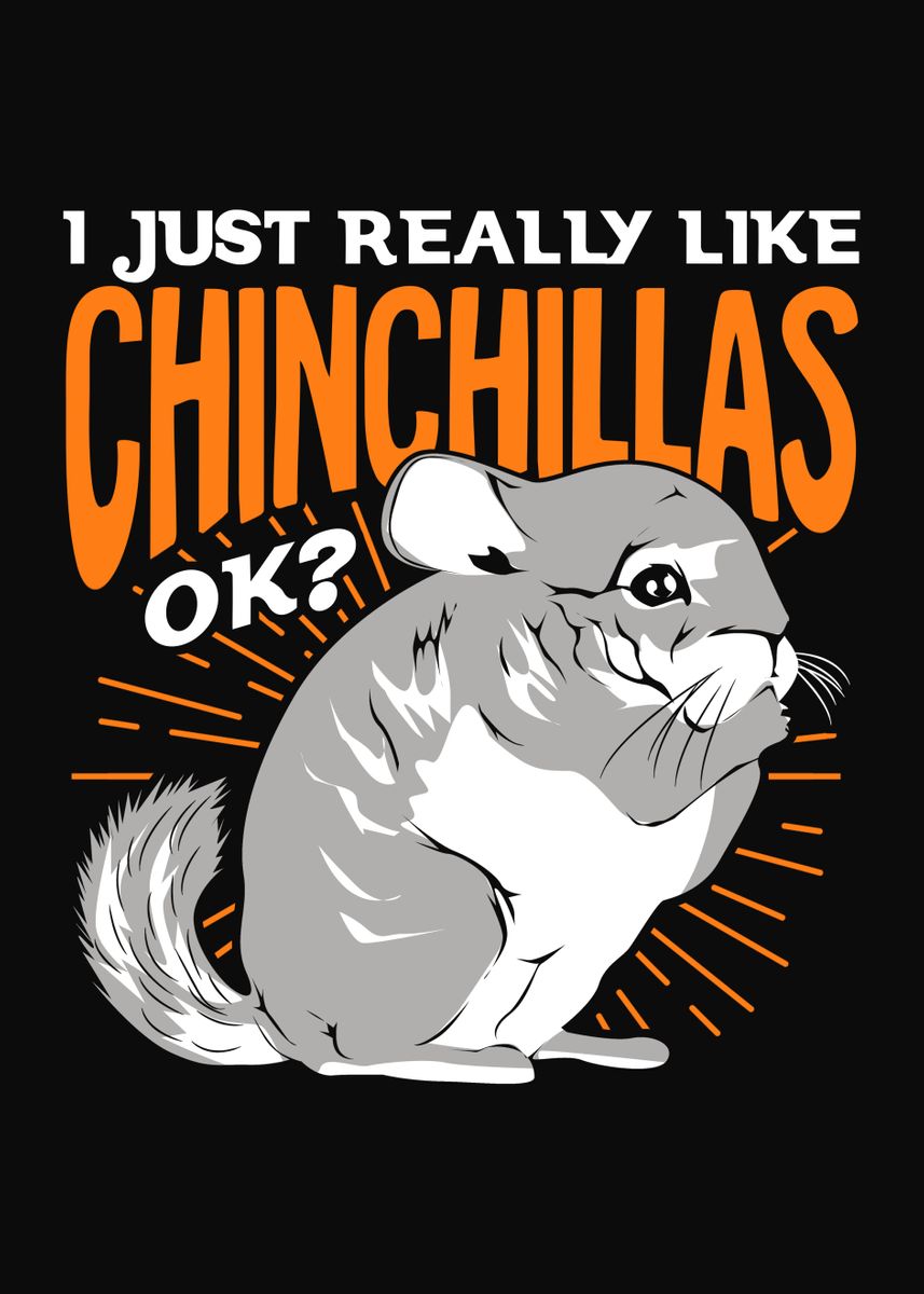 'Chinchilla Animal Lover' Poster, picture, metal print, paint by Marcel ...
