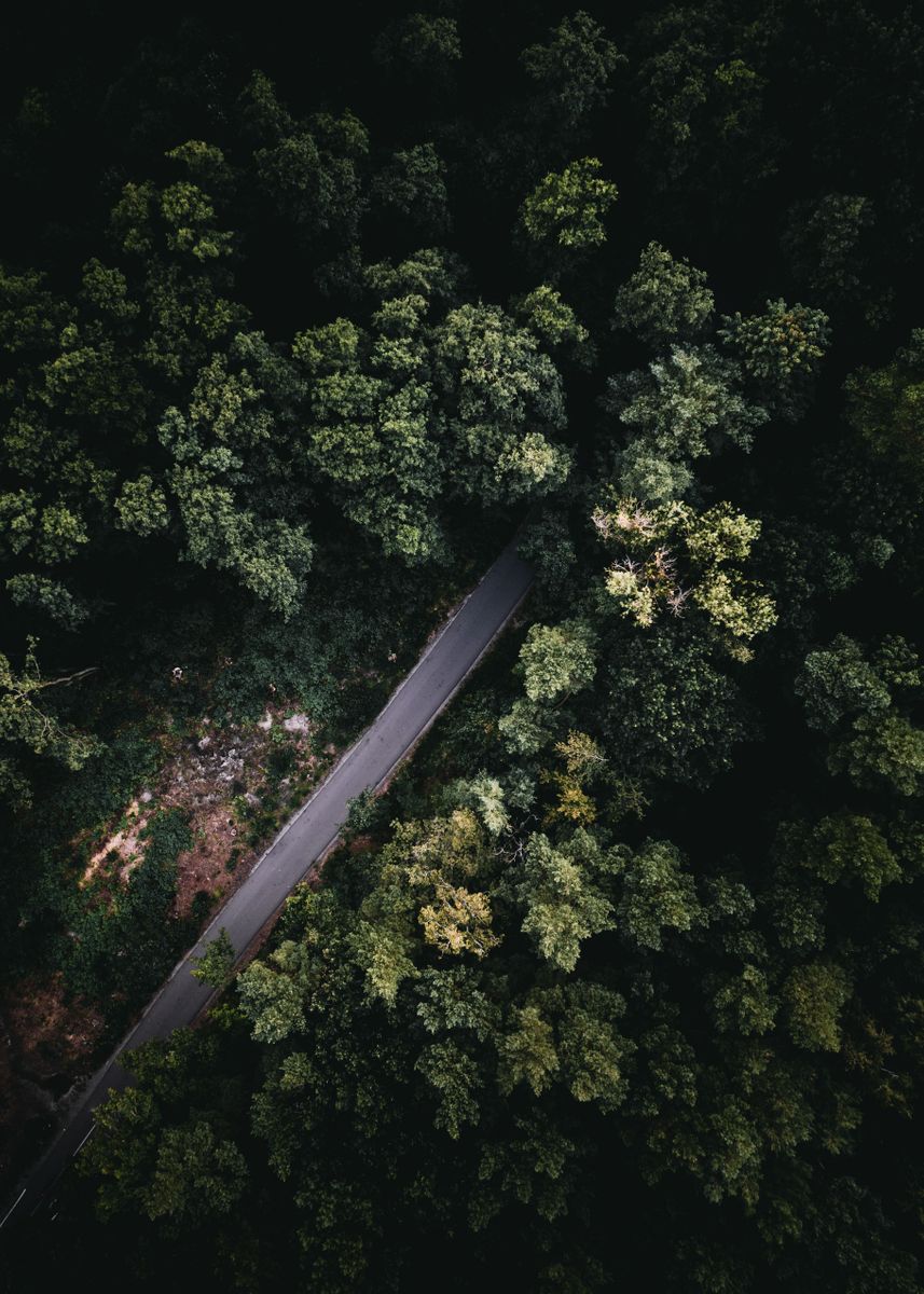 'The Path' Poster, picture, metal print, paint by Adam Stolarczyk ...