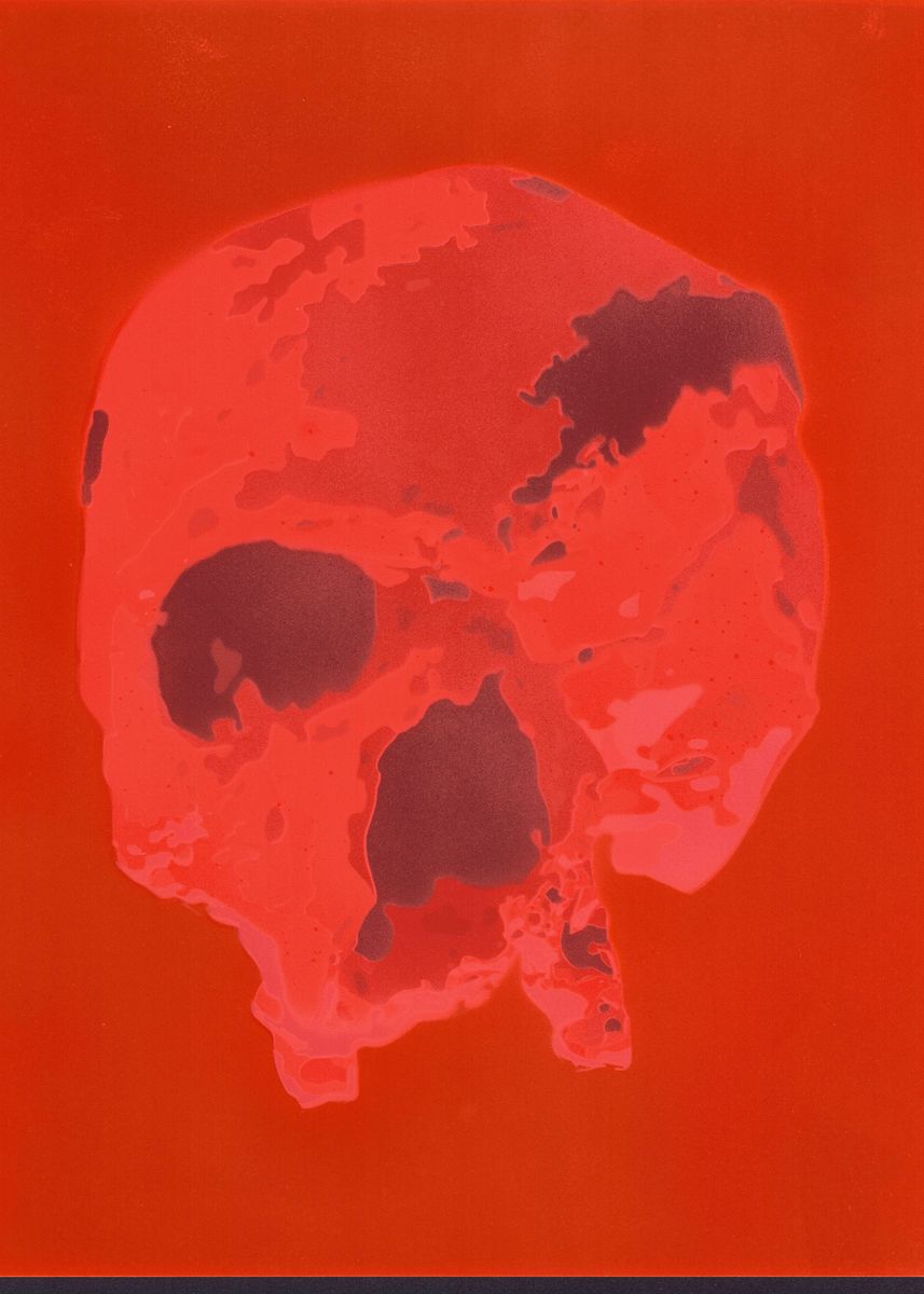 'Red Skull ' Poster, picture, metal print, paint by IGMKArts | Displate