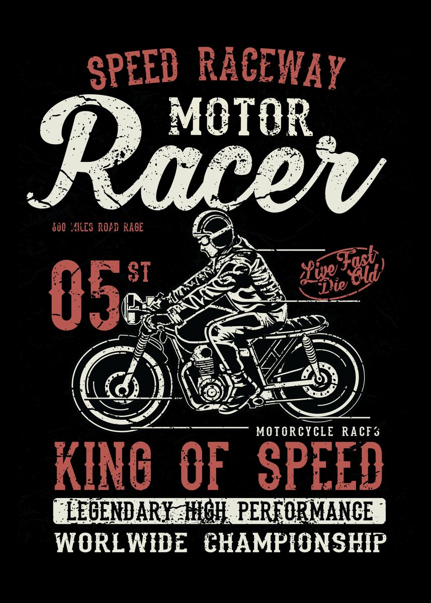 'Moto Racer' Poster, picture, metal print, paint by thetshirtshop2020 ...