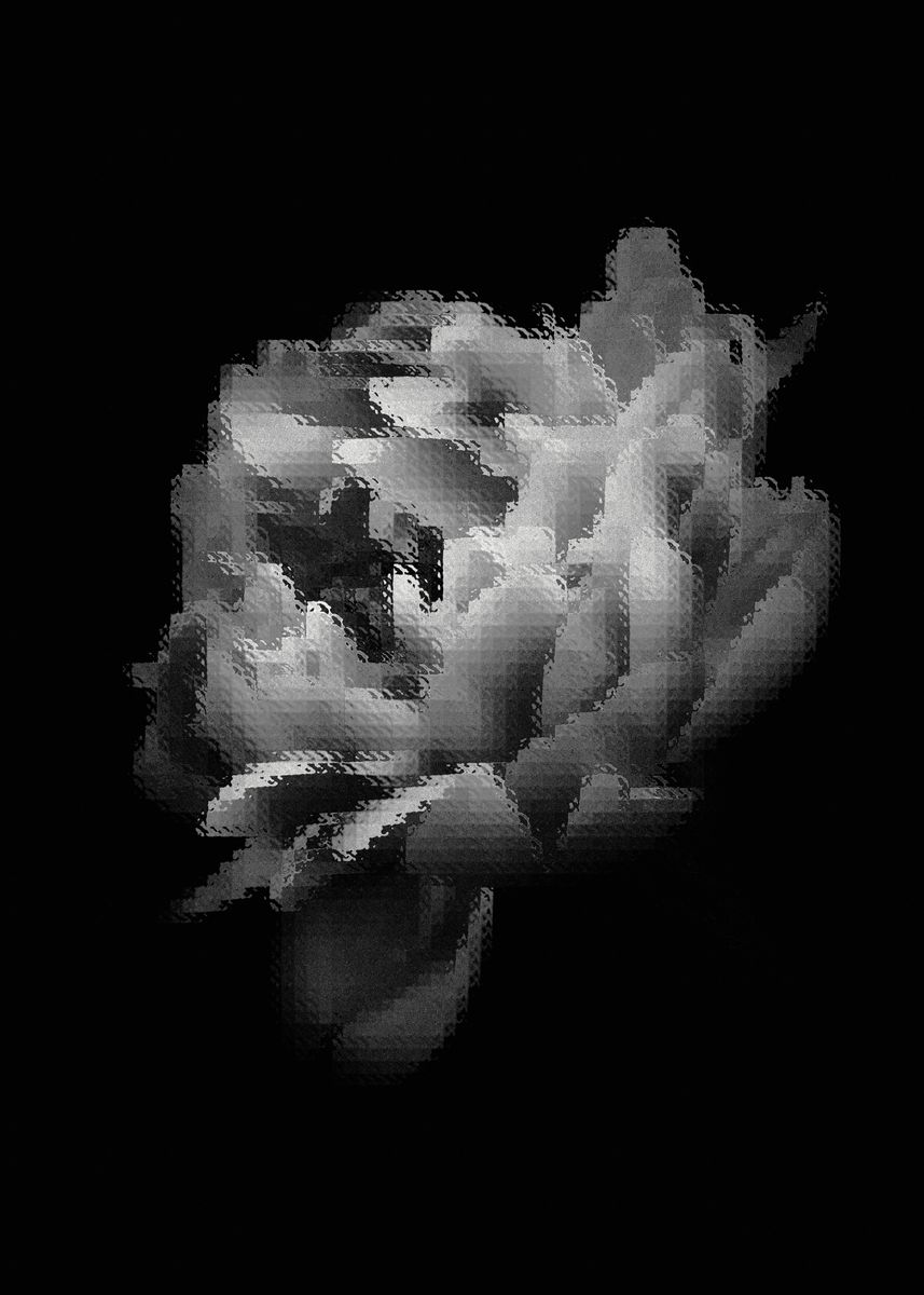 'Abstract peony' Poster, picture, metal print, paint by Larisa Siverina ...