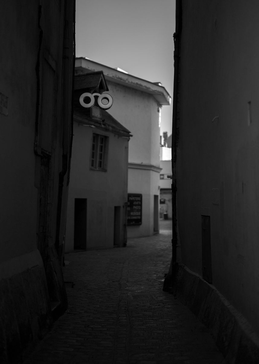 'Ruelle Lyon' Poster, picture, metal print, paint by Julius Yls | Displate