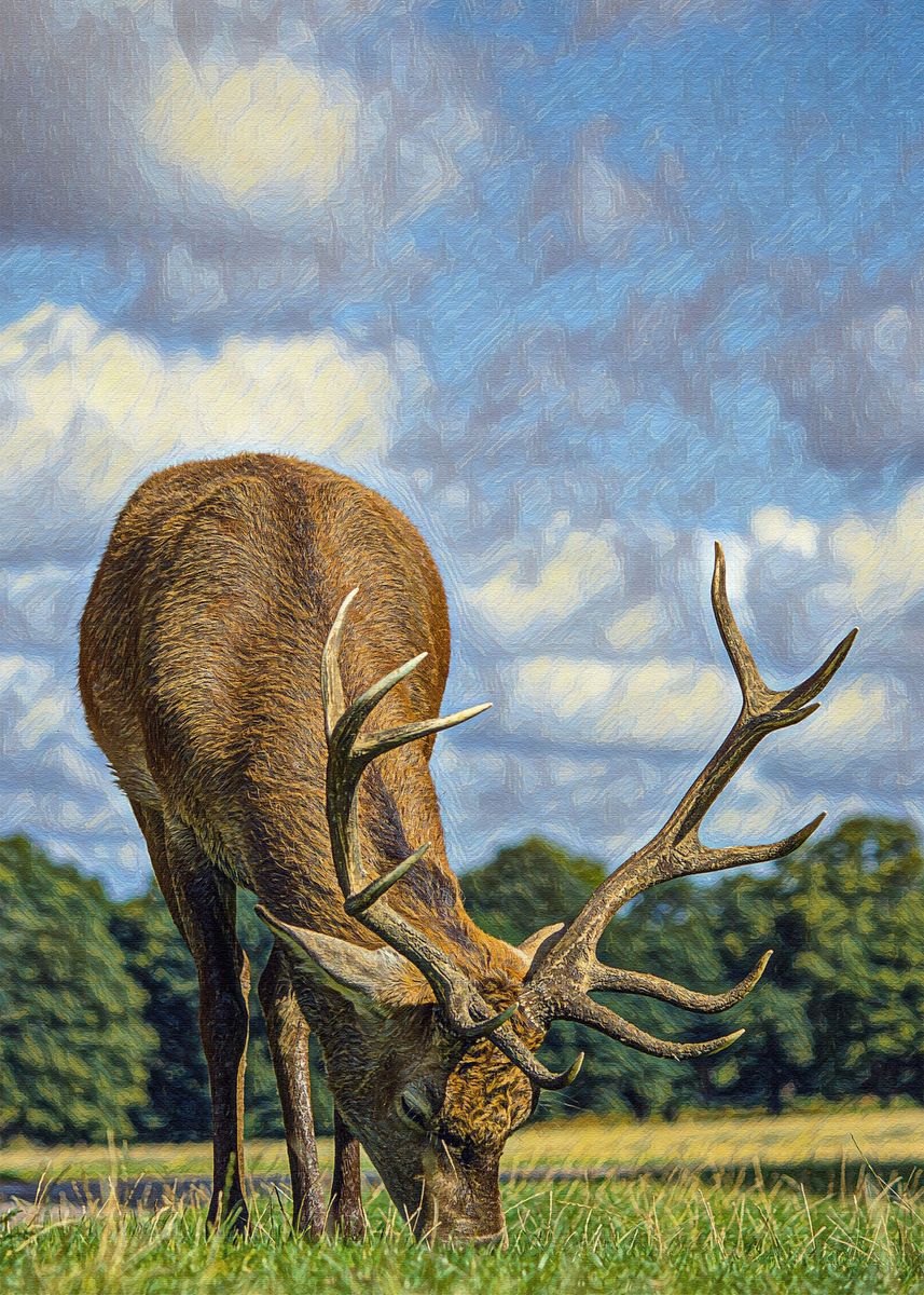 'Deer' Poster by Patrick Watson | Displate