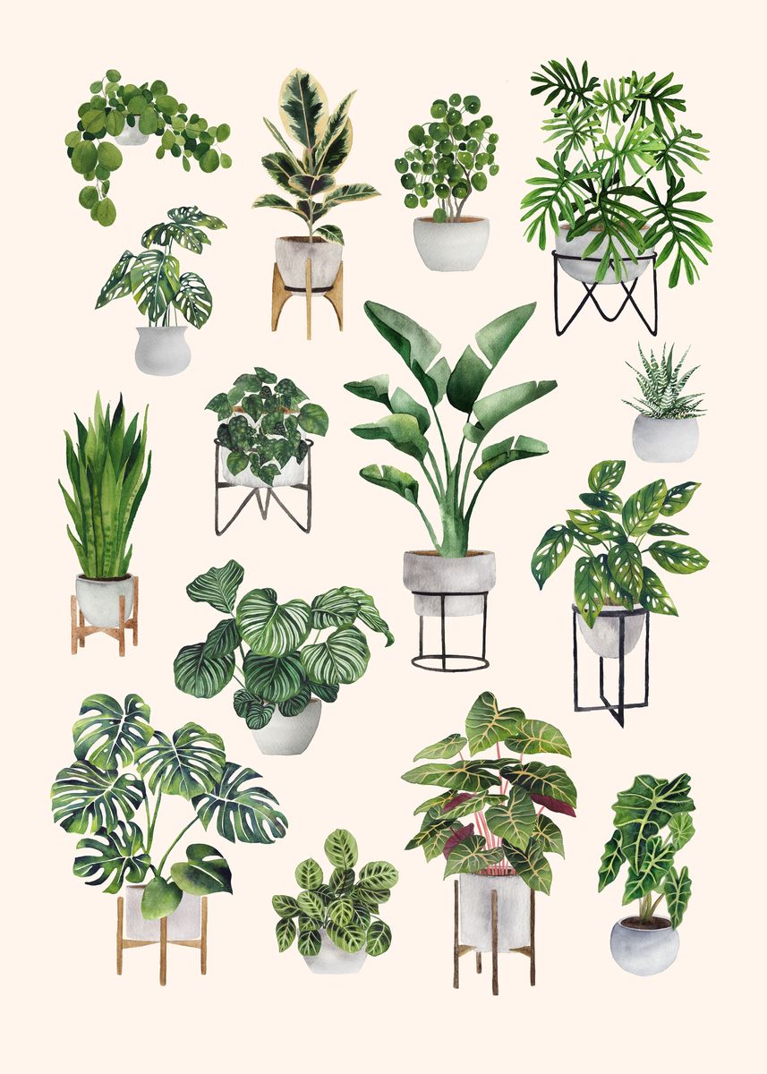 'Plant Collection 6' Poster, picture, metal print, paint by Gush Art ...