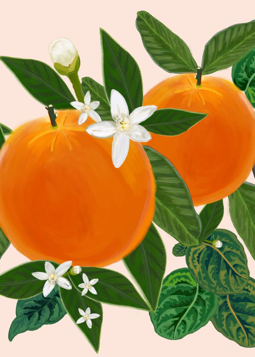'Orange and flowers' Poster, picture, metal print, paint by Gulsen ...