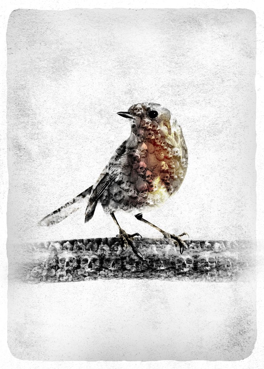 'ROBIN' Poster by Andy Pilkington | Displate