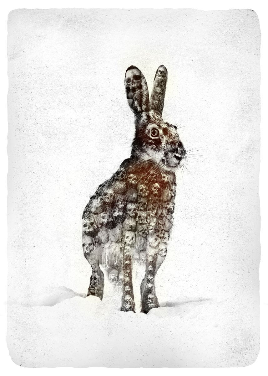 'HARE' Poster, picture, metal print, paint by Andy Pilkington | Displate