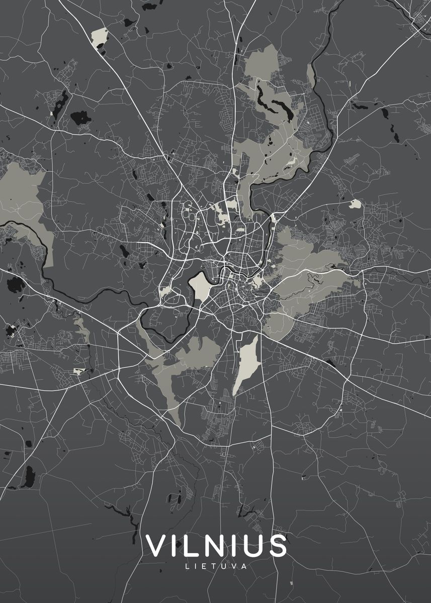 'Vilnius' Poster, picture, metal print, paint by mapsies | Displate