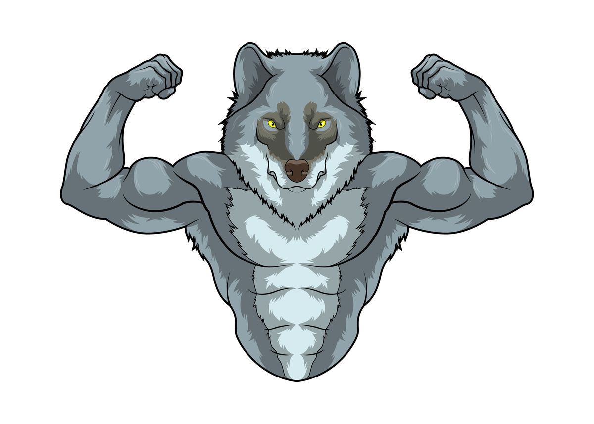 'Wolf Bodybuilder Muscles' Poster by Markus Schnabel | Displate