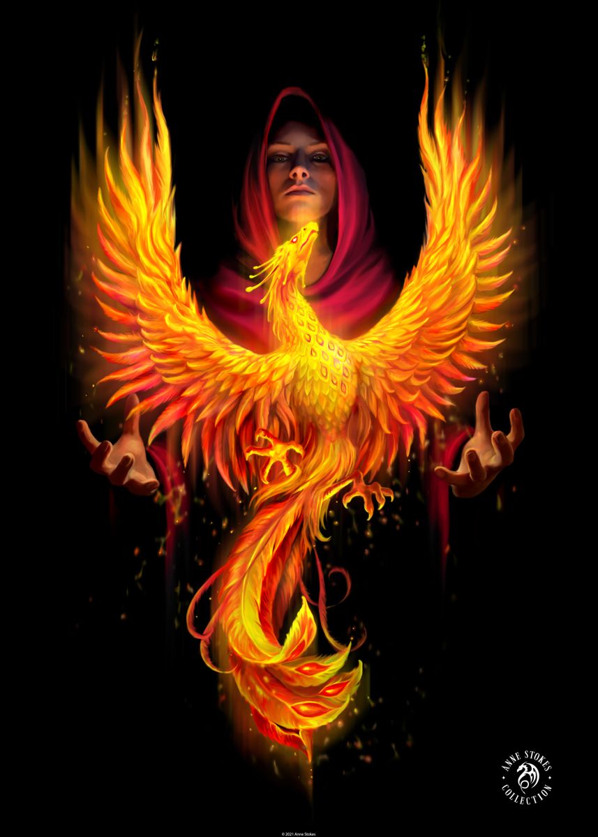 'Phoenix Rising' Poster, picture, metal print, paint by Anne Stokes ...