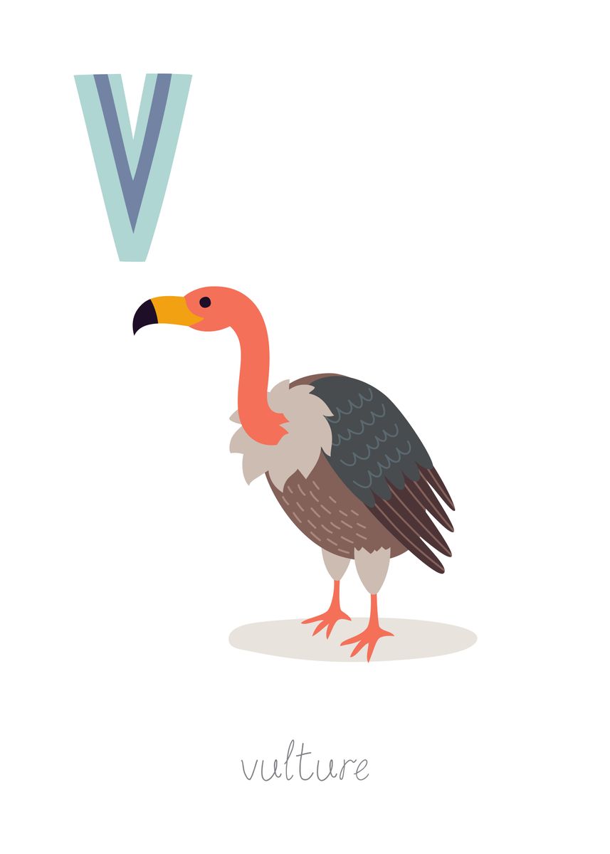 'Animal Alphabet V Vulture' Poster by dkDesign | Displate