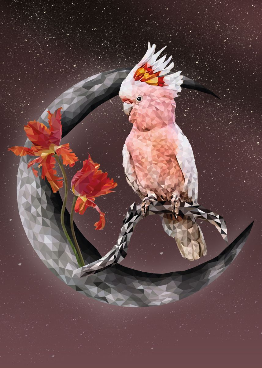 'Major Mitchells cockatoo' Poster by Verena Tapper | Displate