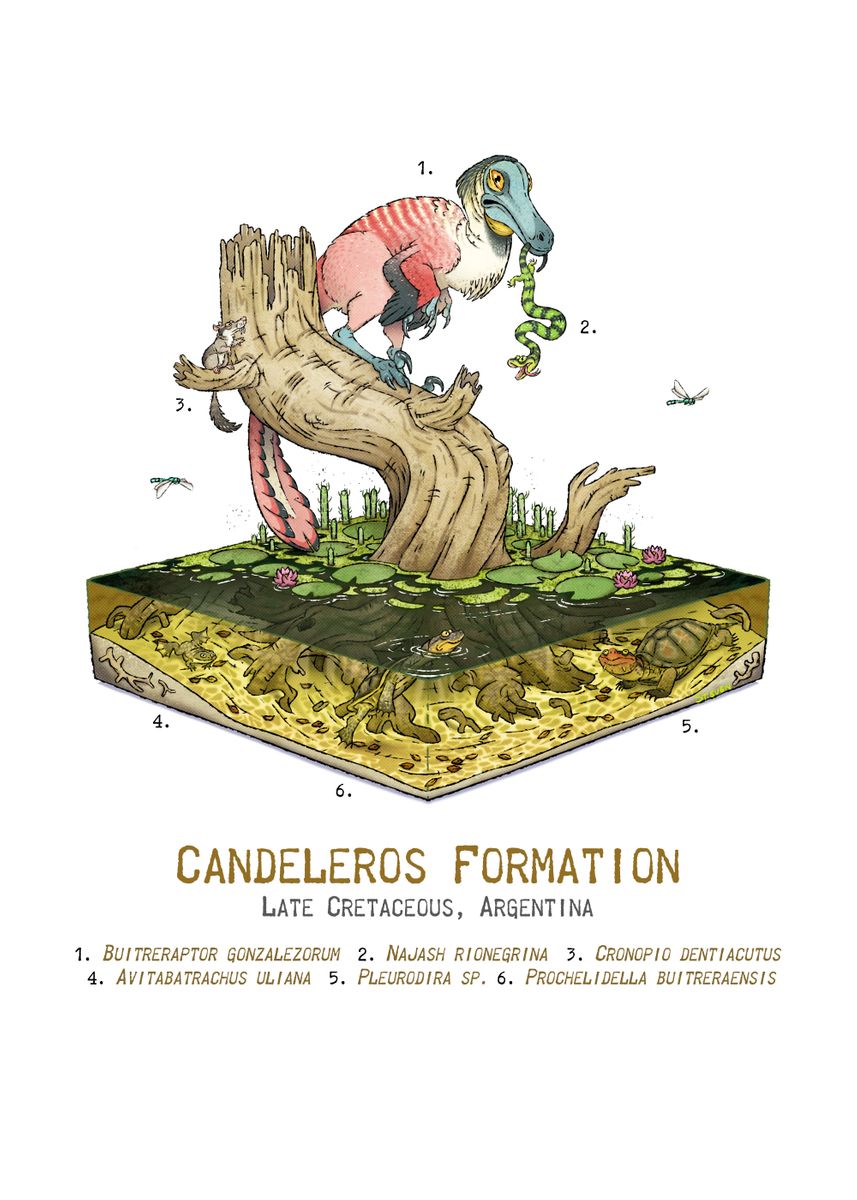 'Candeleros Formation' Poster, picture, metal print, paint by stieven ...