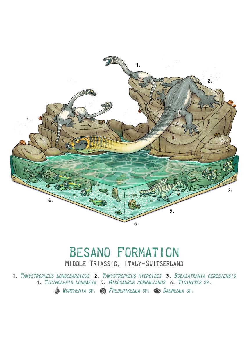 'Besano Formation' Poster, picture, metal print, paint by stieven ...