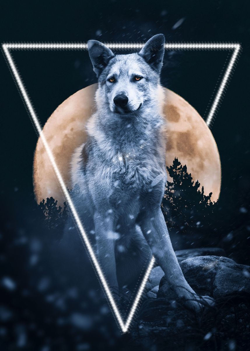 'Night fantasy wolf moon' Poster by Vardi Creations | Displate