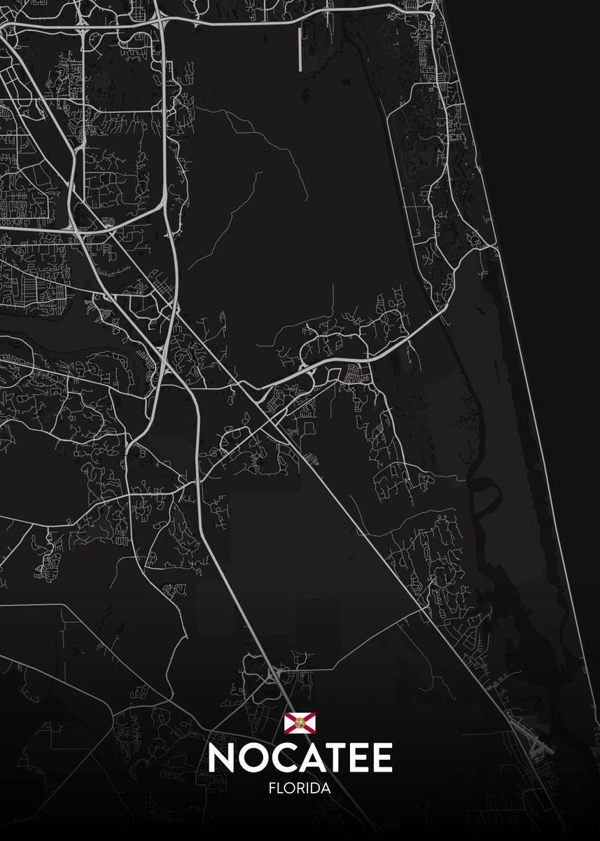 'Nocatee FL' Poster, picture, metal print, paint by IMR Designs | Displate